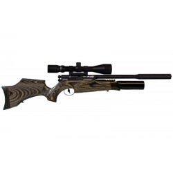 BSA R10 SE - PCP Airguns - DAI Leisure
