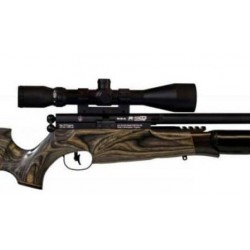 BSA R10 SE - PCP Airguns - DAI Leisure