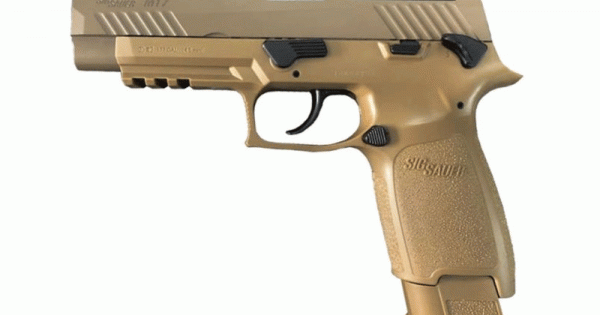 Sig Sauer M17 CO2 Air Pistol delivered by DAI Leisure