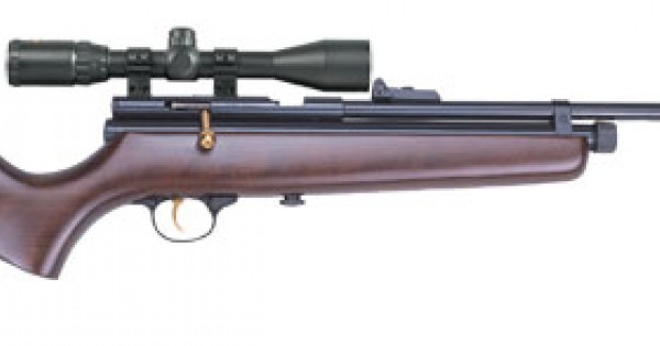 SMK CO2 QB78 Deluxe delivered by DAI Leisure