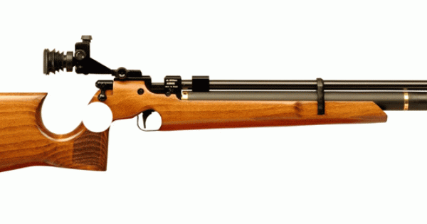 Air Arms S200 Target