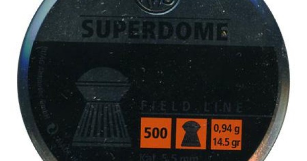 RWS Superdome .22 Pellets x 500