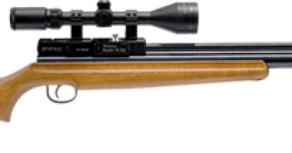 Webley Raider 10 XS delivered by DAI Leisure